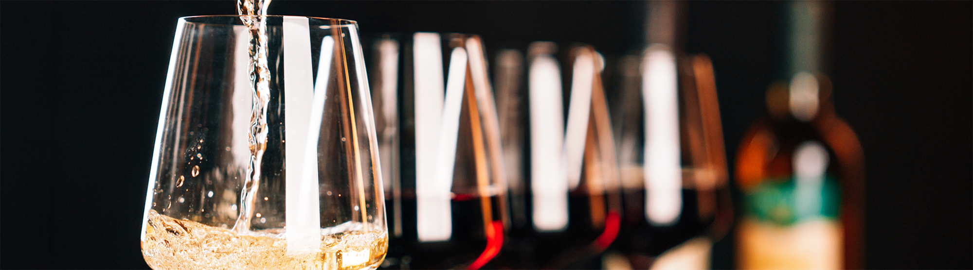 The Auckland Food Show 2026 » The Food Show